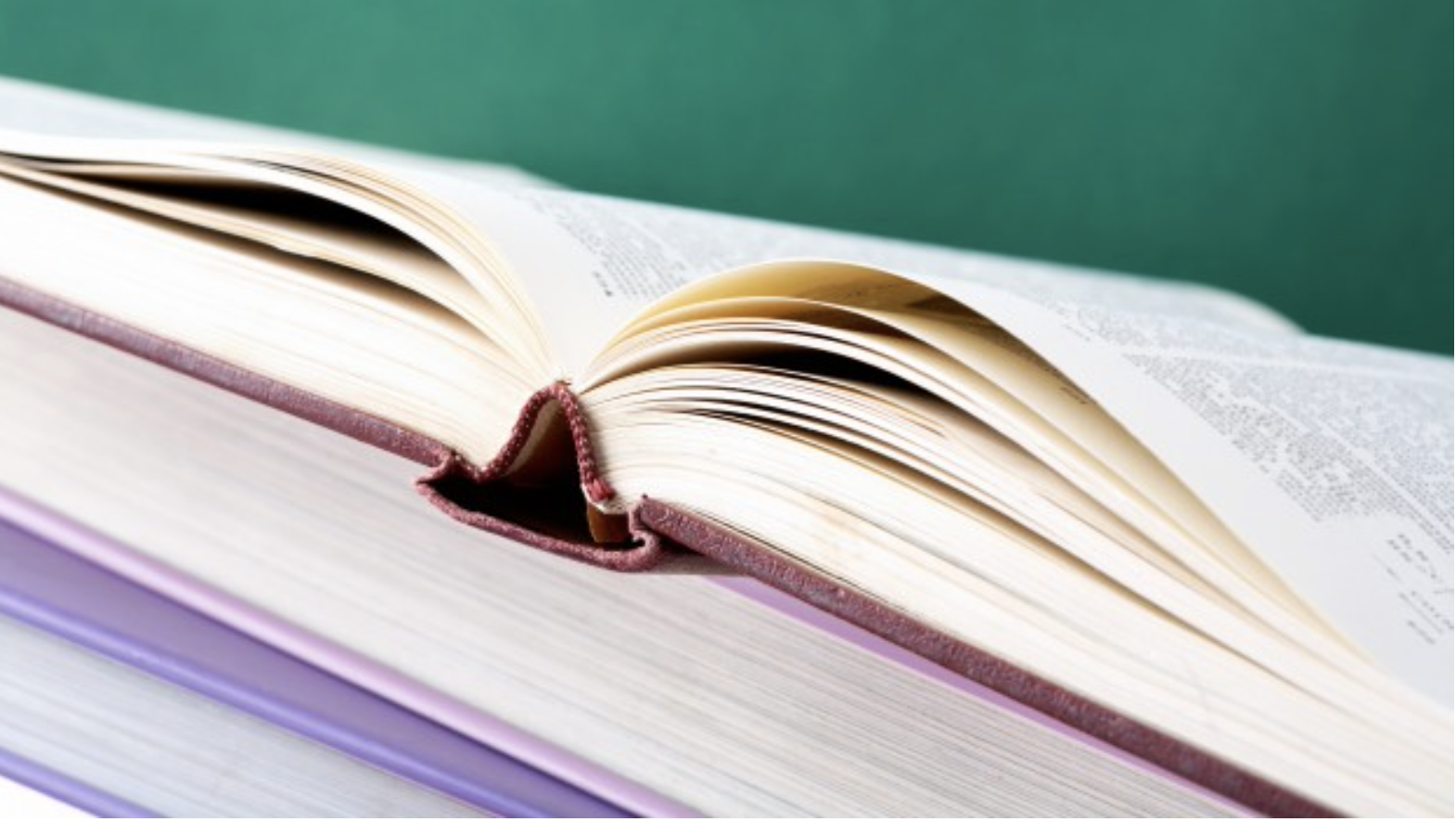 Franchise Operations Manuals | Franchise Manual PDF