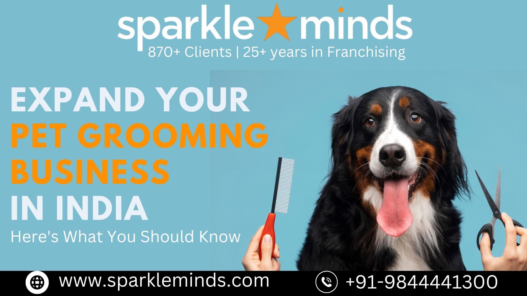 Expanding Your Pet Grooming Business in India: Market Trends ...